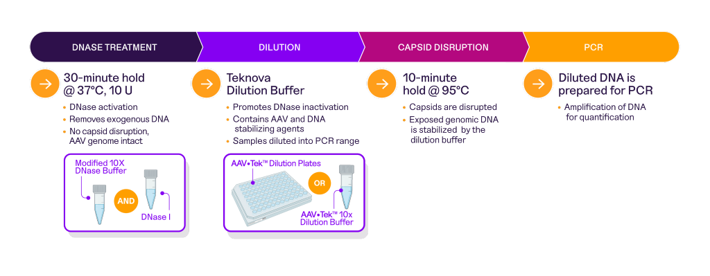 AAV•Tek PCR Sample Prep Kit | Teknova
