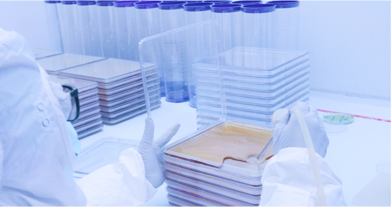 DNA Suspension Buffer, pH 8.0. 100mL, Sterile. DNase/RNase Tested, PCR ...