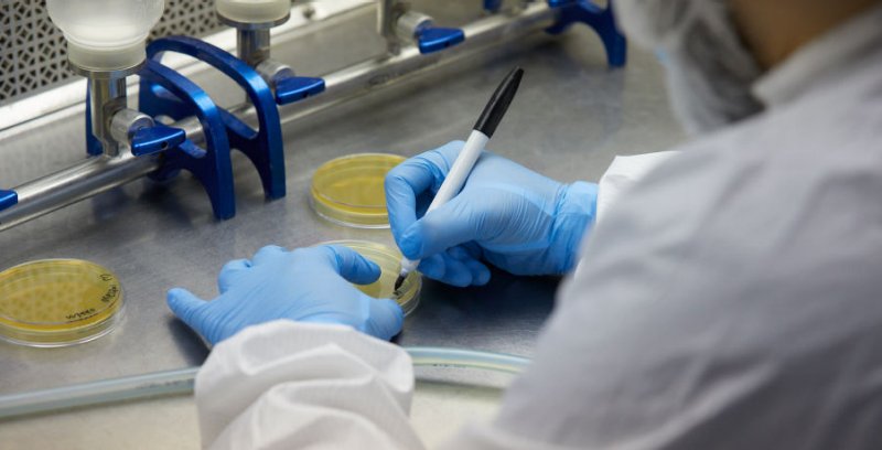 Quality Testing | Teknova