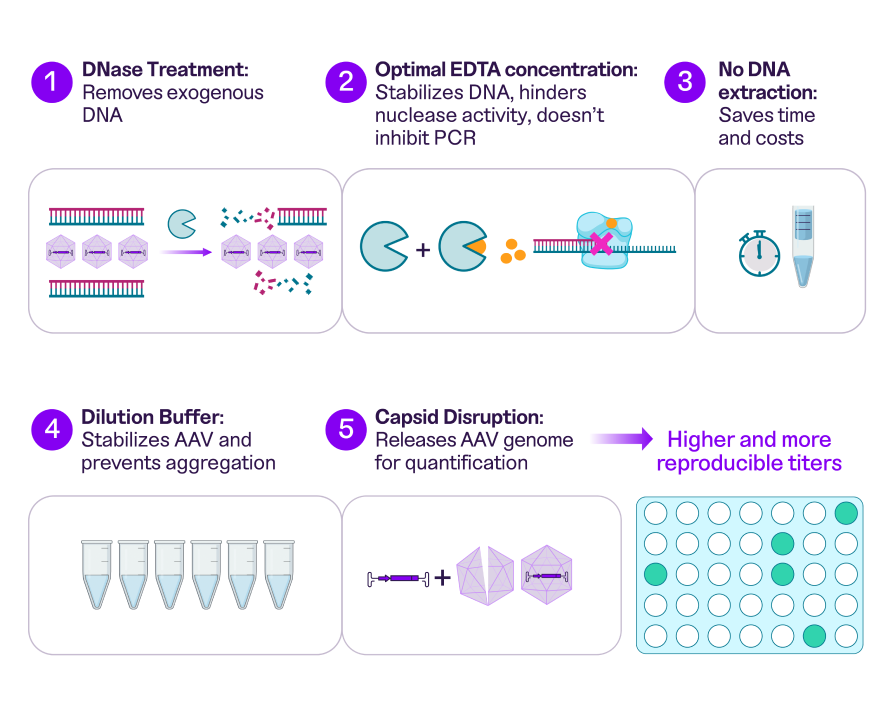 Protocol PCR Sample Prep Kit | Teknova