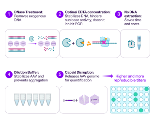 Protocol PCR Sample Prep Kit | Teknova