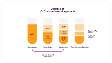 Cesium Chloride Density Gradient Ultracentrifugation | Teknova