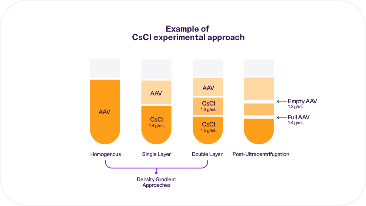 Cesium Chloride Density Gradient Ultracentrifugation