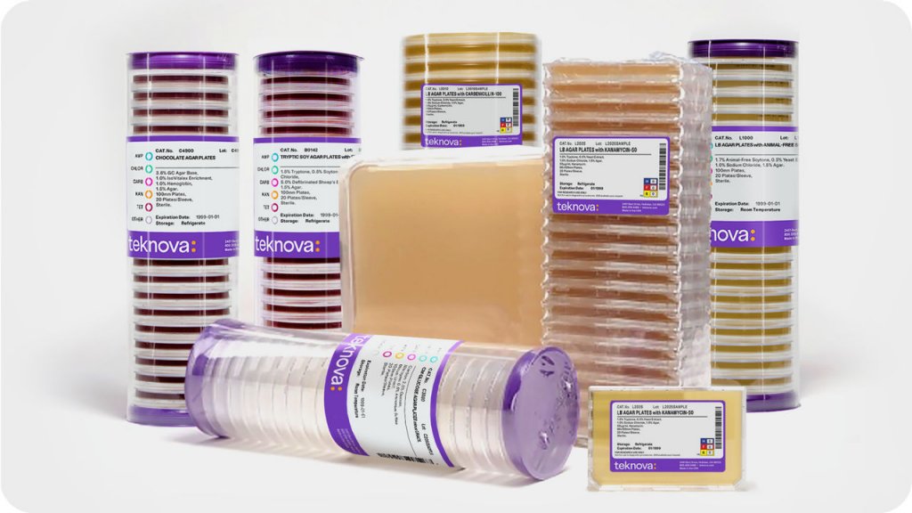 Plasmid Workflow | Teknova