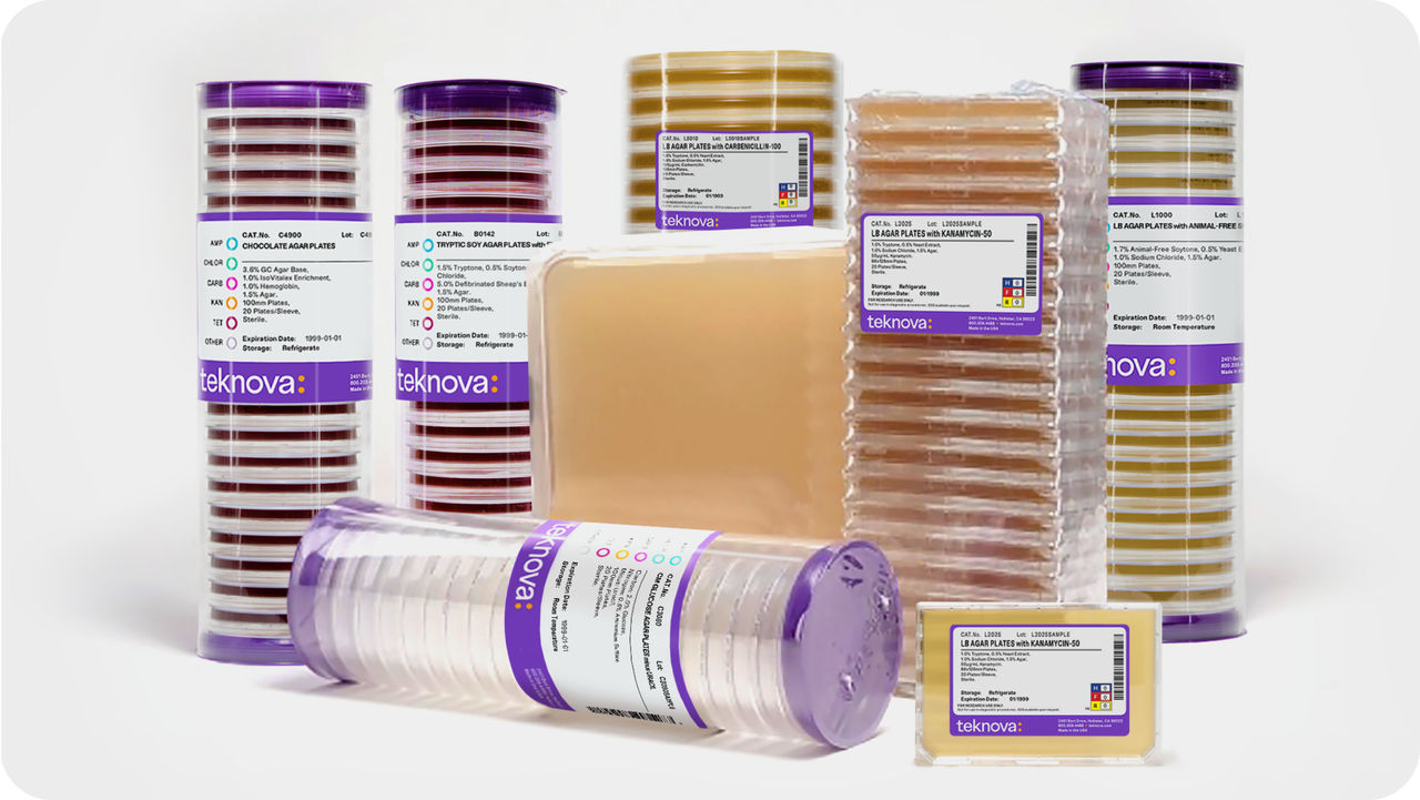 Plasmid Workflow | Teknova