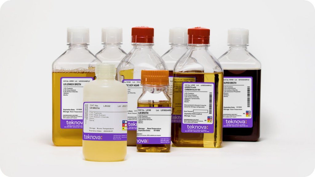 Plasmid Workflow | Teknova