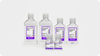 Plasmid Workflow | Teknova